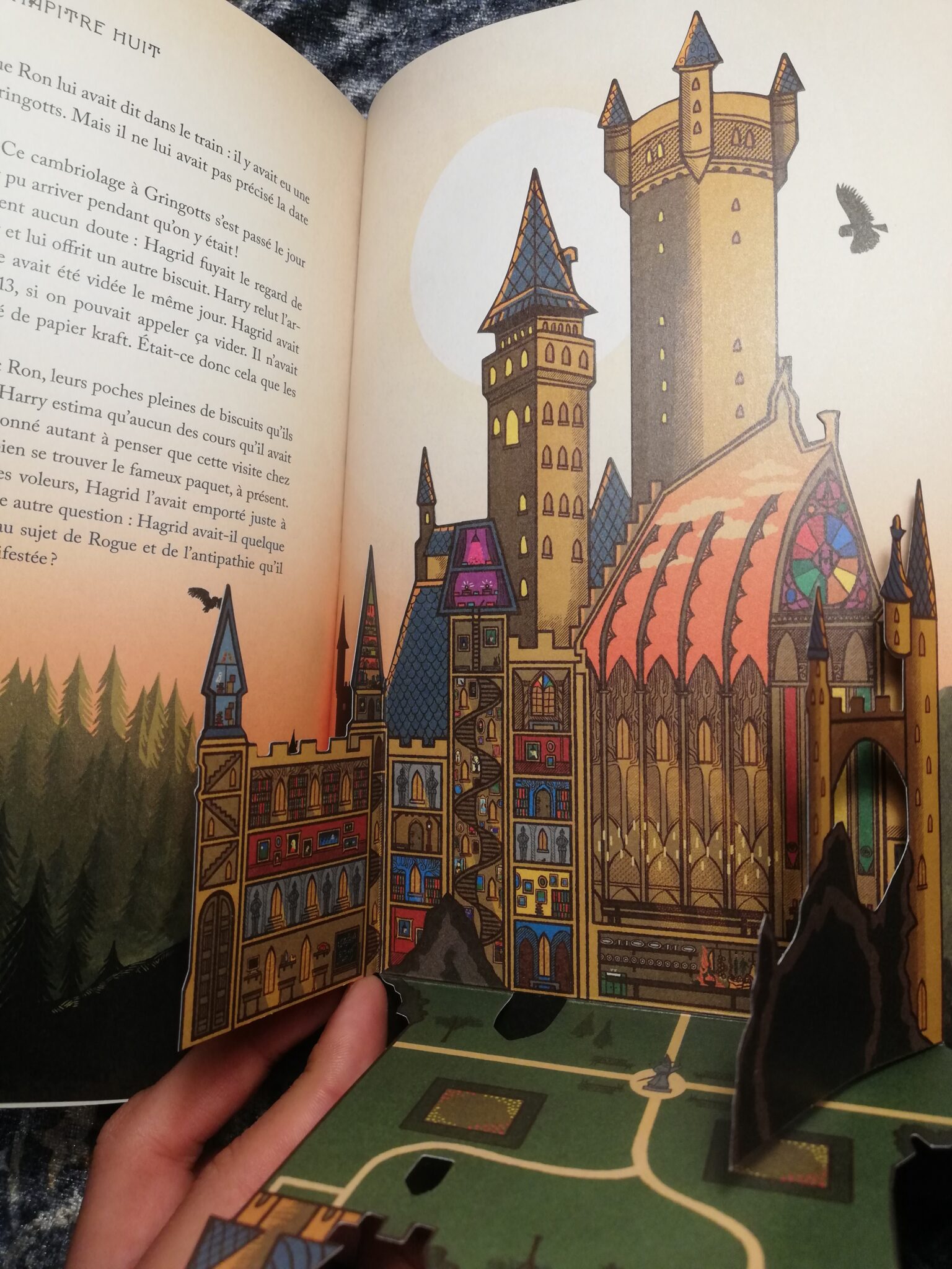 Critique : Harry Potter à l'école des sorciers illustré par MinaLima