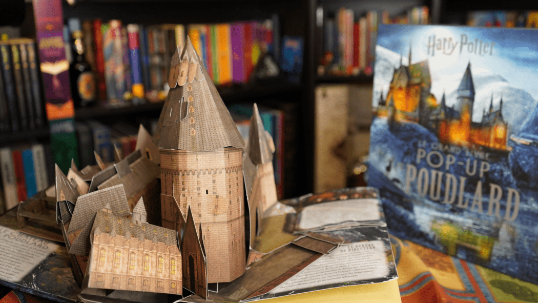 RECAP des livres Pop-up Harry Potter